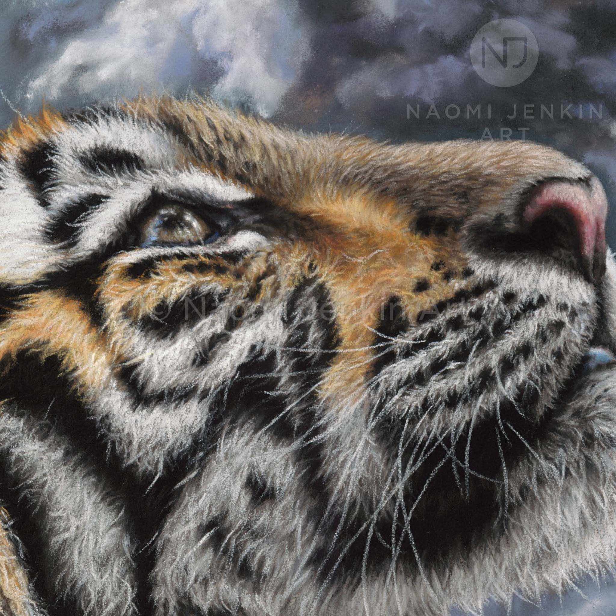 Tiger Painting - "Tigers of the Taiga" - Naomi Jenkin Art